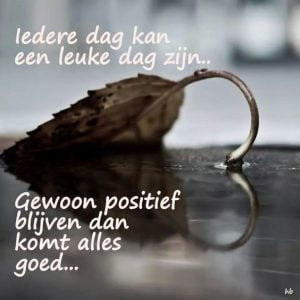 Zelfvertrouwen Quotes & Afbeeldingen - Blijvend Zelfvertrouwen